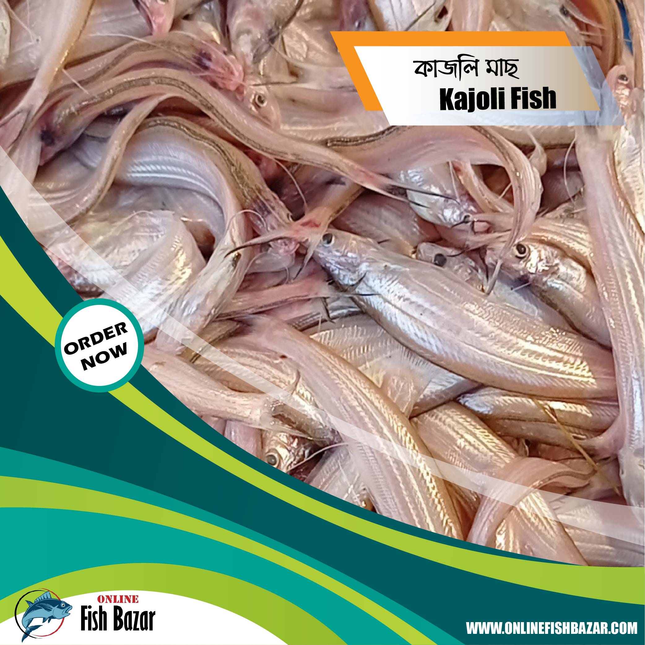কাজলি-মাছ Kajoli-Fish (1100 tk per kg) – Online Fish Bazar